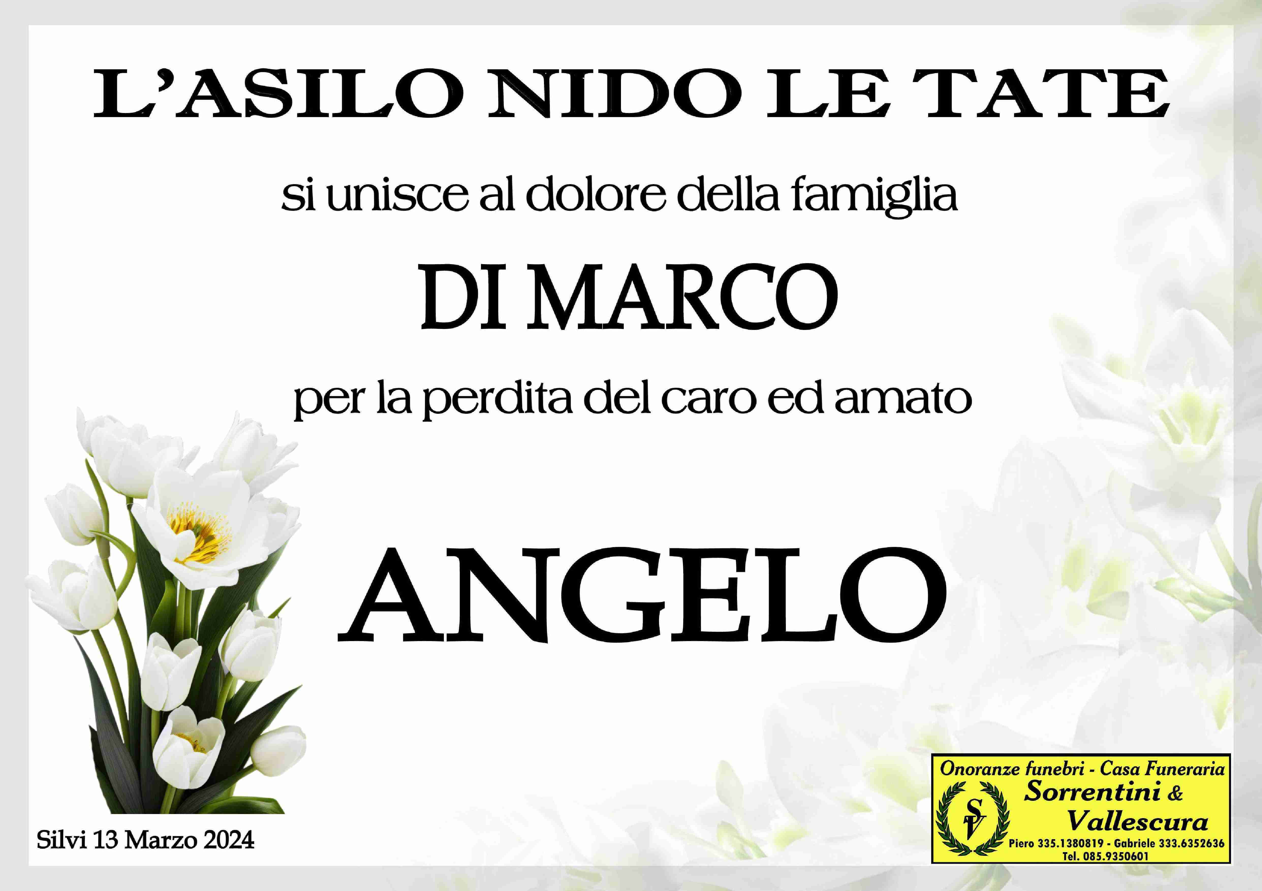 Funerali e annunci funebri a Silvi | Angelo Di Marco - Funer24 Funerali e annunci funebri a Silvi | Angelo Di Marco - Funer24